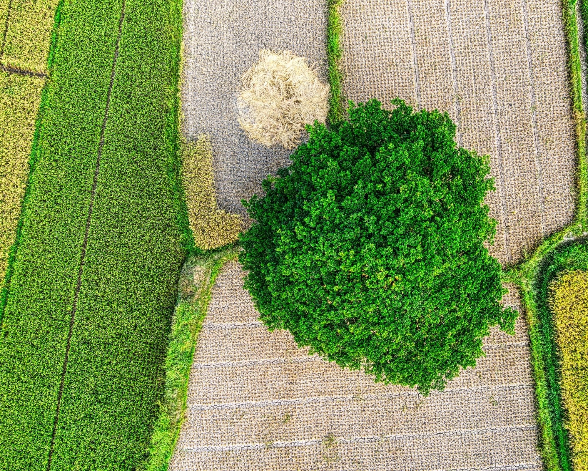 Tout ce qu'il faut savoir sur la zone d'espaces verts - Vendre un terrain