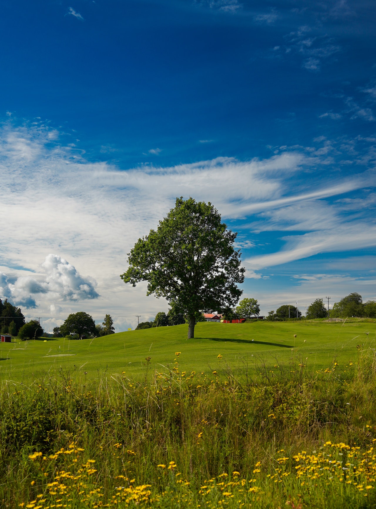 Conseils pour vendre un terrain à l'étranger - Vendre un terrain